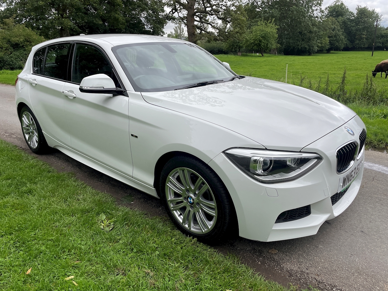 Used 2013 BMW 1 Series 116I M Sport For Sale in Avon (U101475) | Swan ...