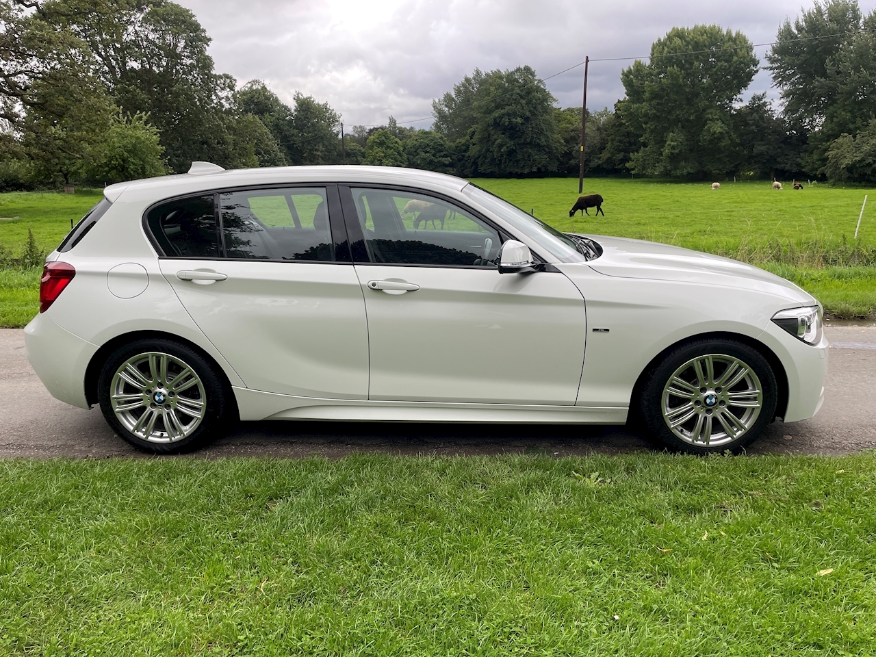 Used 2013 BMW 1 Series 116I M Sport For Sale in Avon (U101475) | Swan ...