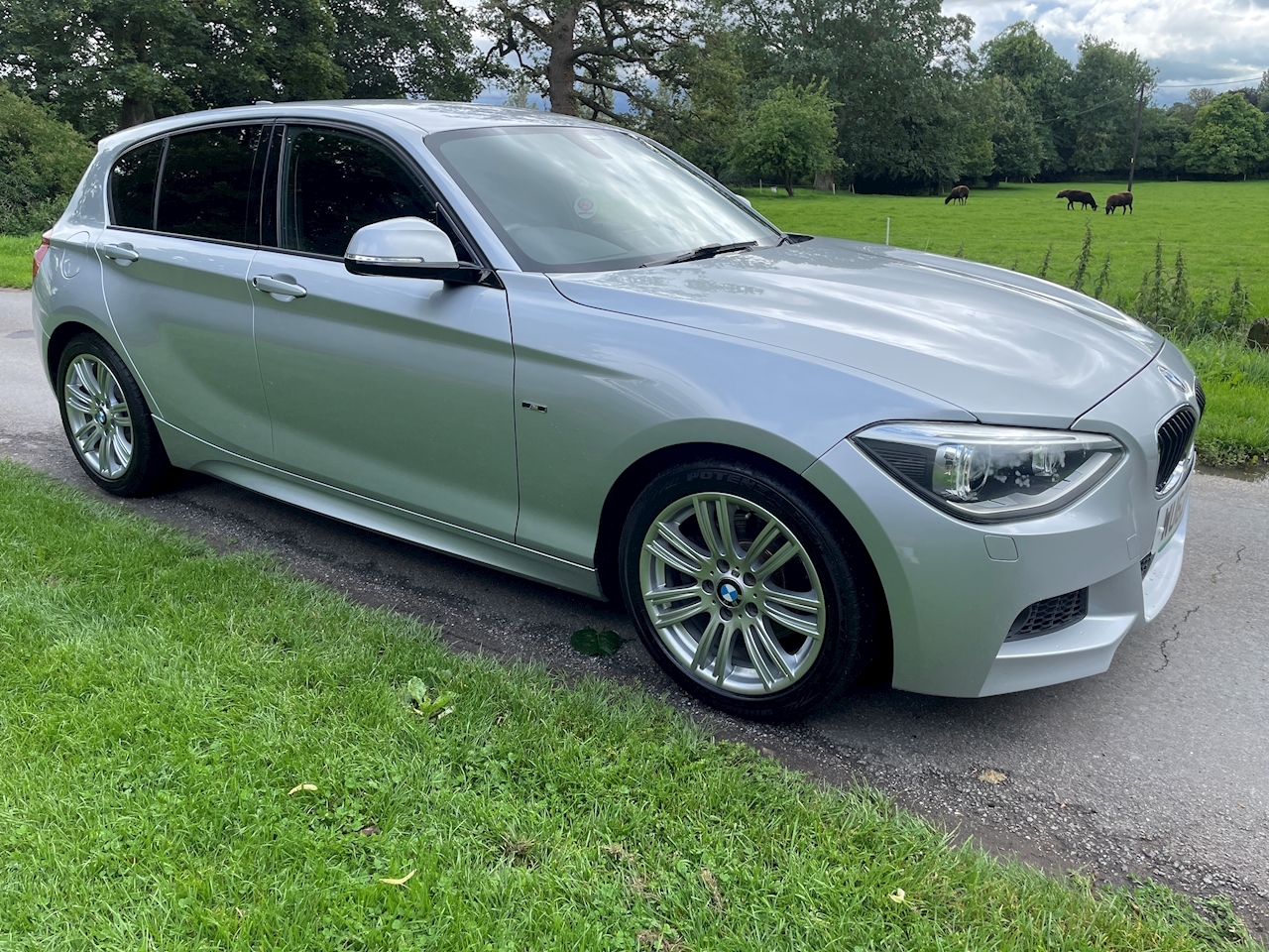 Used 2013 BMW 1 Series 116I M Sport For Sale in Avon (U555569) | Swan ...