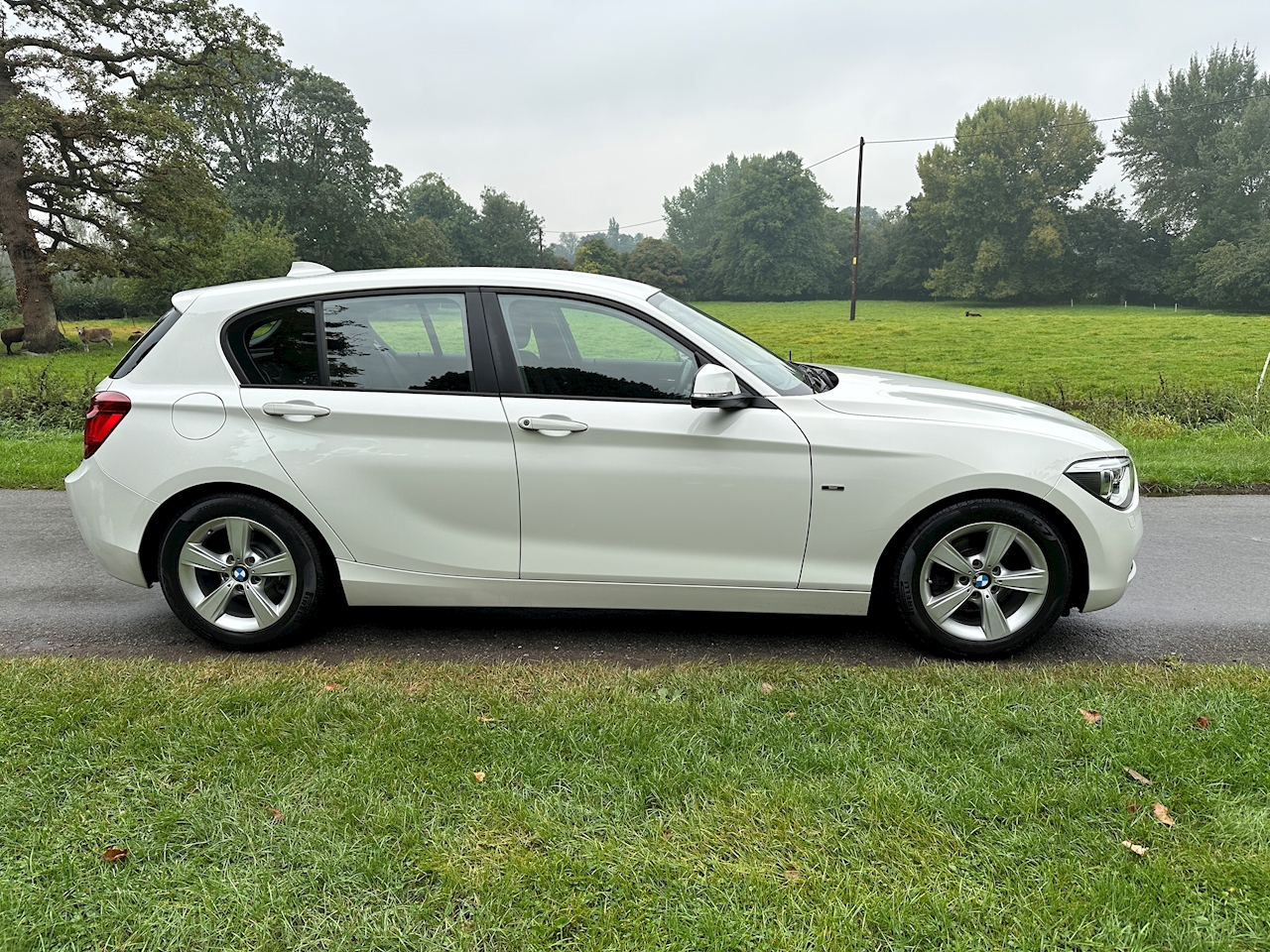 Used 2012 BMW 1 Series 116I Sport For Sale in Avon (U555579) | Swan ...