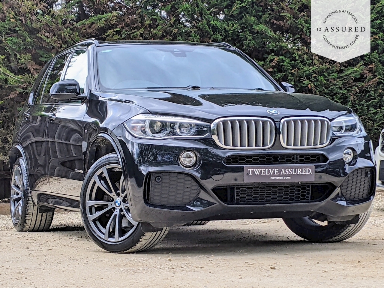 Used 2016 BMW X5 40d M Sport For Sale (U3373) | Twelve London Road